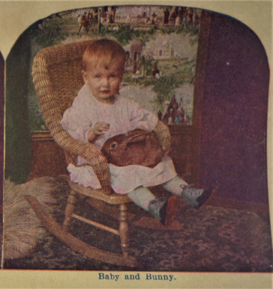Two Stereoptic Cards of Children With Bunnies. Late 1800's. - Etsy