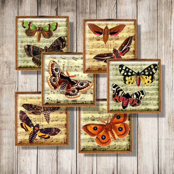 Items similar to Printable Butterflies Moths Music Paper Background ...