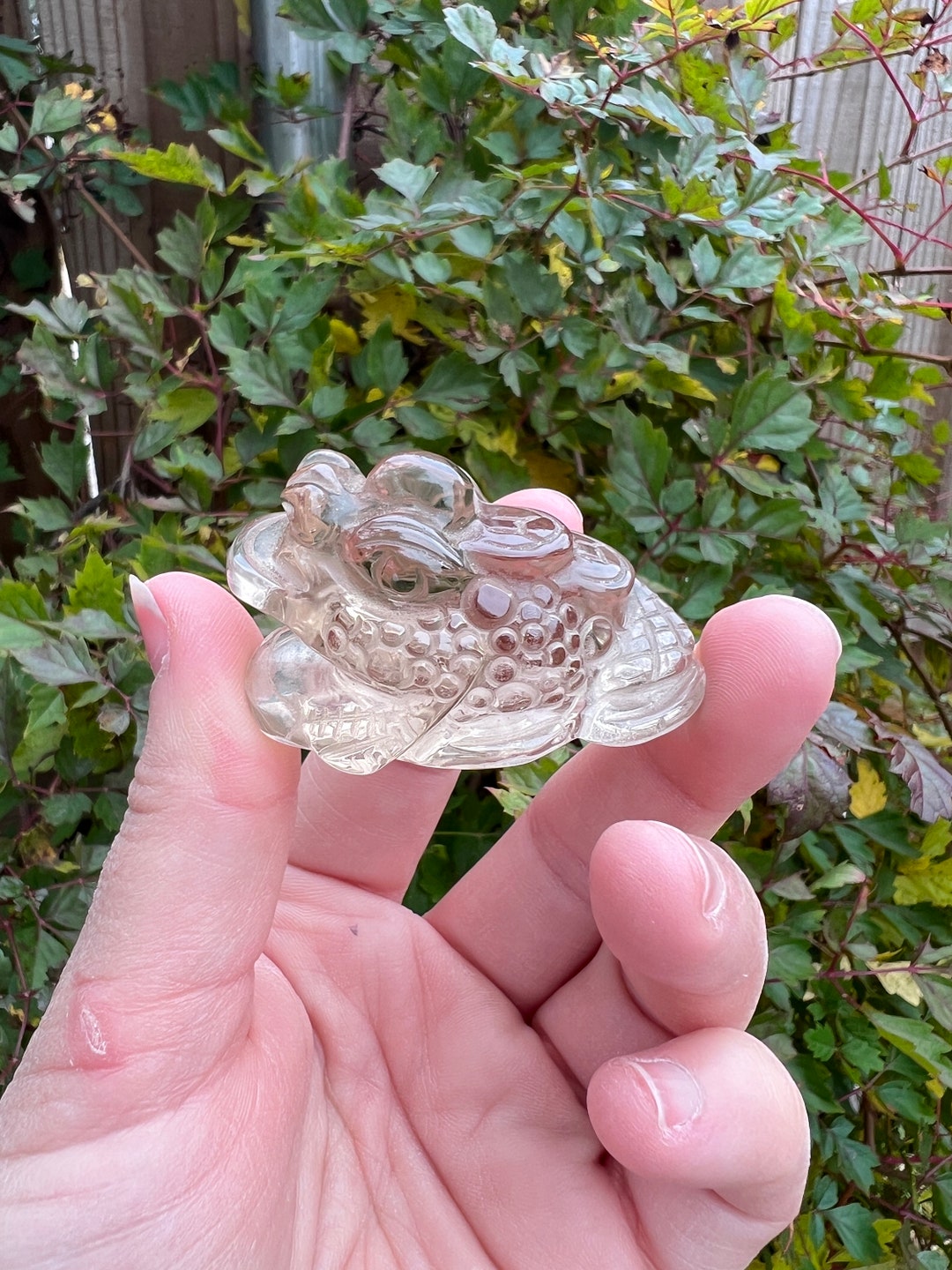 High Quality Smoky Quartz Money Toad Frog Crystal Toad Master - Etsy