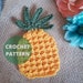 CROCHET PATTERN, Juicy Pineapple Coaster, PDF Download, Crochet ...