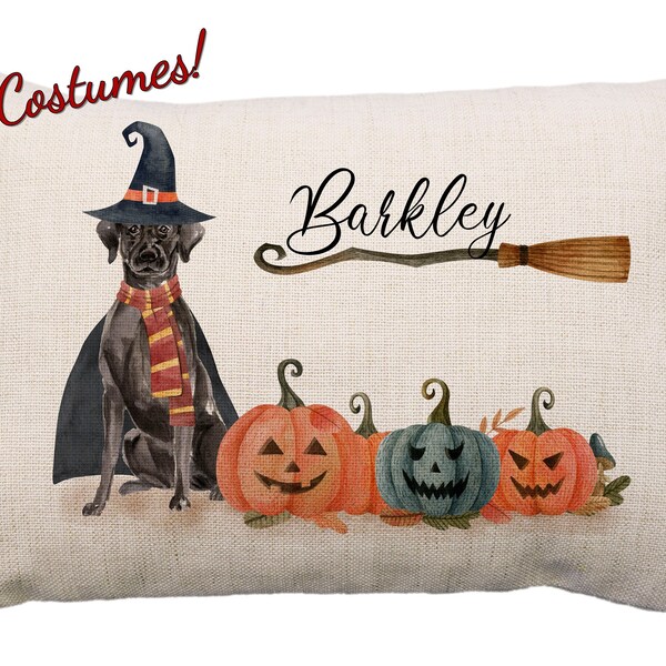 Black Lab Halloween Costume - Etsy