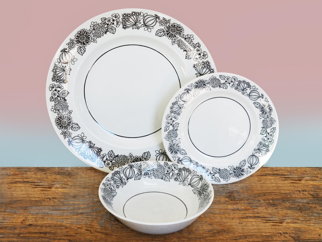 Vintage Grindley Manitou Dinnerware, English Ironstone Trimmed in Black ...