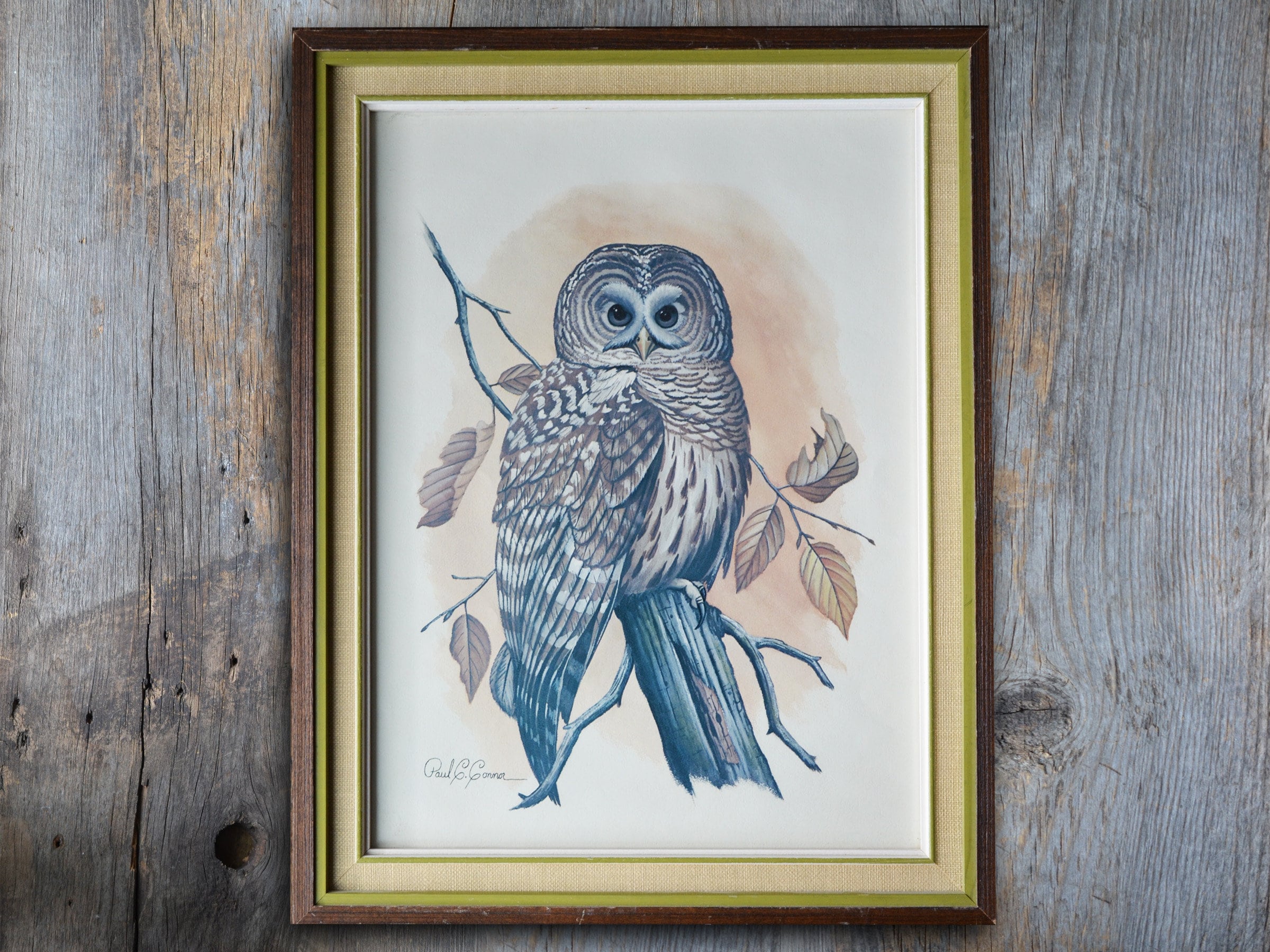 Vintage Owl Art
