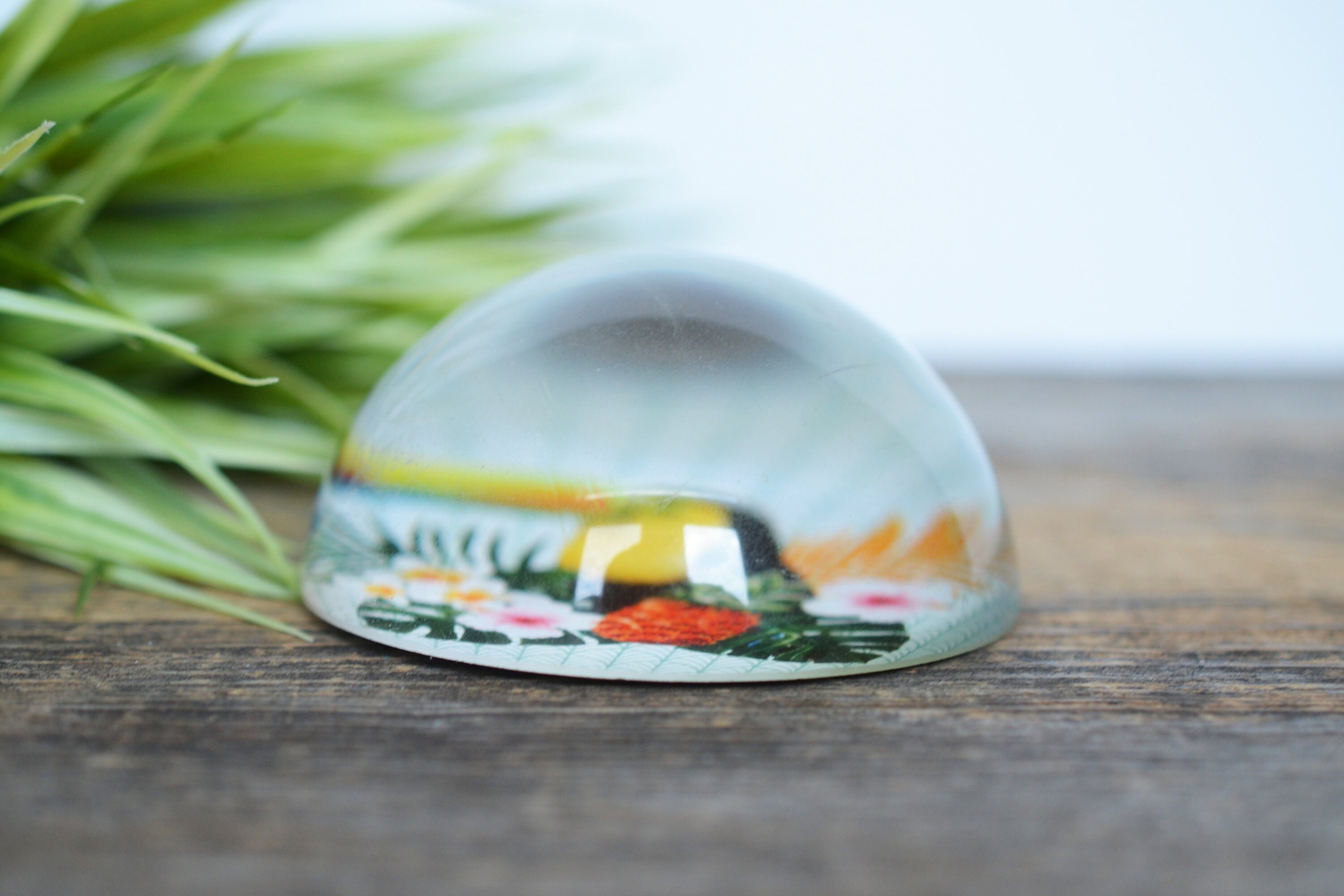 Vintage Lucite Toucan Paperweight Tropical Scenery Lithograph | Etsy