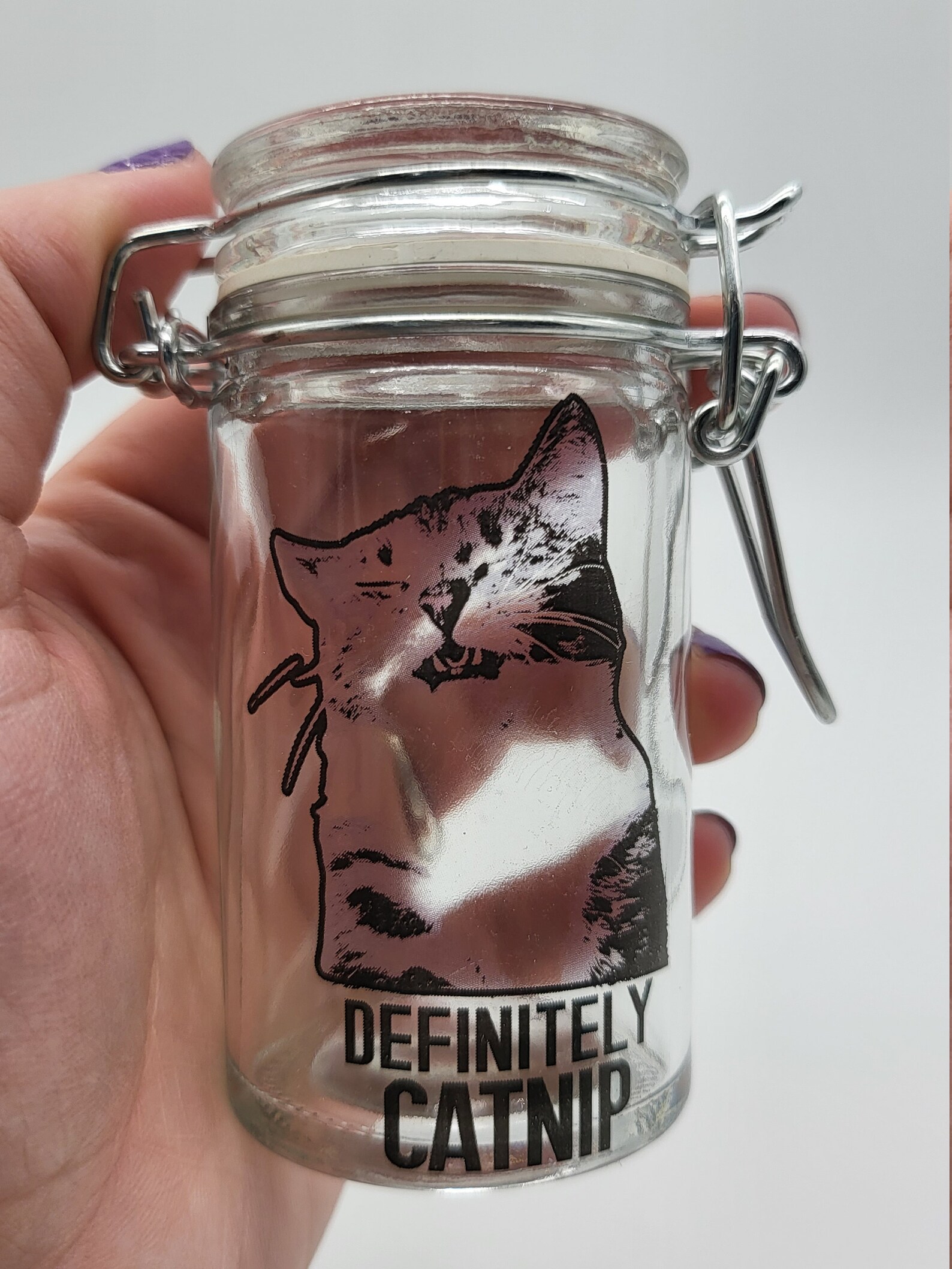 Weed Jars Stash Jar Cannabis Jars Adult Gifts Cat - Etsy