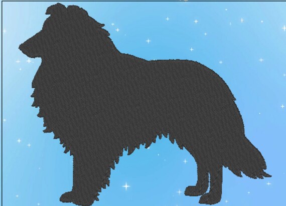 Solid Border Collie Embroidery Design File Multiple Sizes - Etsy UK