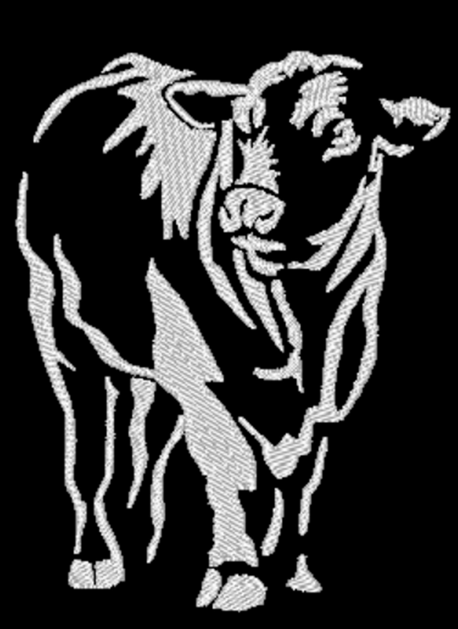Angus Cattle - Cow - Steer - Embroidery Design Instant Download ...