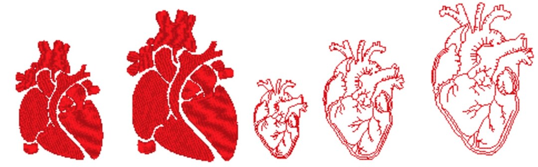 Anatomical Heart Machine Embroidery Design – Solid Fill & Redwork ...