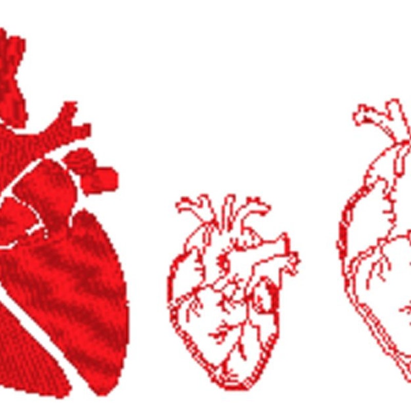 Embroidery Anatomy - Etsy