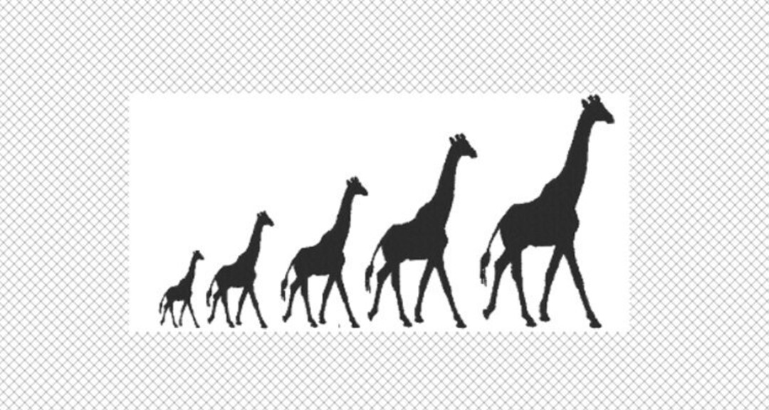 Giraffe Embroidery Design File - Multiple Formats - Solid Fill - 5 ...