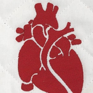 Anatomical Heart Machine Embroidery Design – Solid Fill & Redwork ...