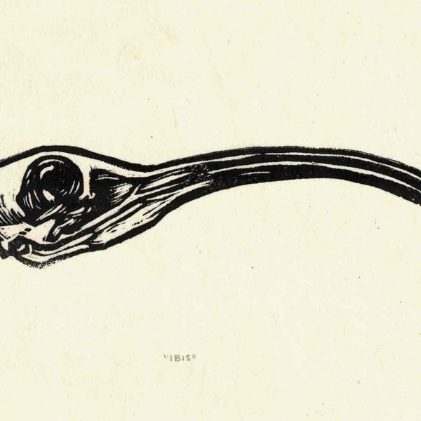 WoodenTeethStudio - Etsy