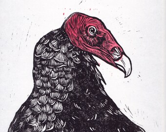 Turkey Vulture Print | Etsy