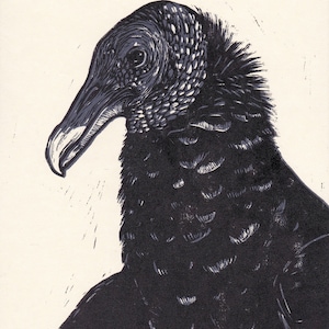 Black Vulture Handmade Linocut Print, 9" X 12" - Etsy
