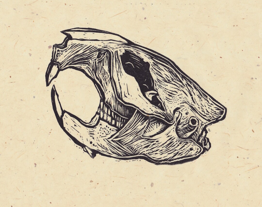 Beaver Skull Print, Handmade Linocut Print, 8.5 X11 - Etsy Canada