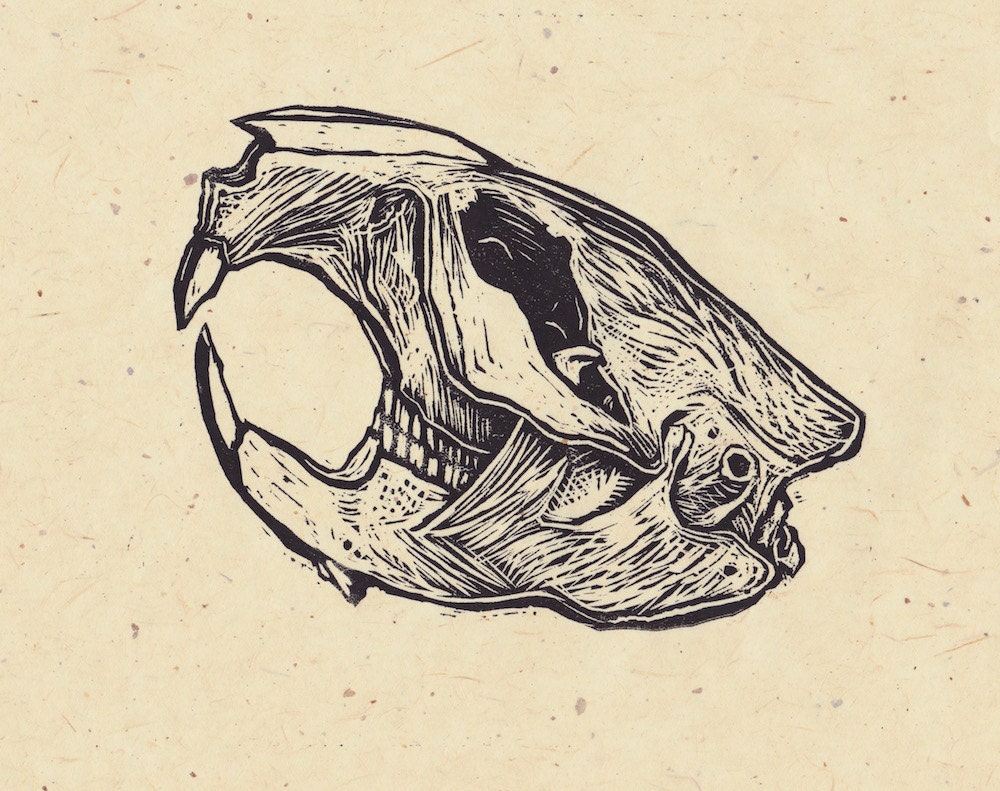 Beaver Skull Print Handmade Linocut Print 8.5 X11 - Etsy Canada