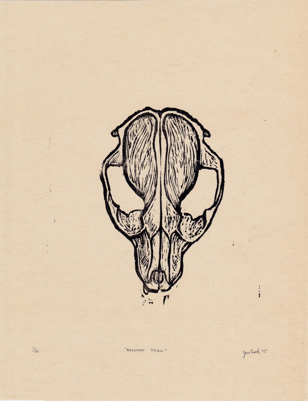 Raccoon Skull Woodcut Print, 8 X 10 - Etsy