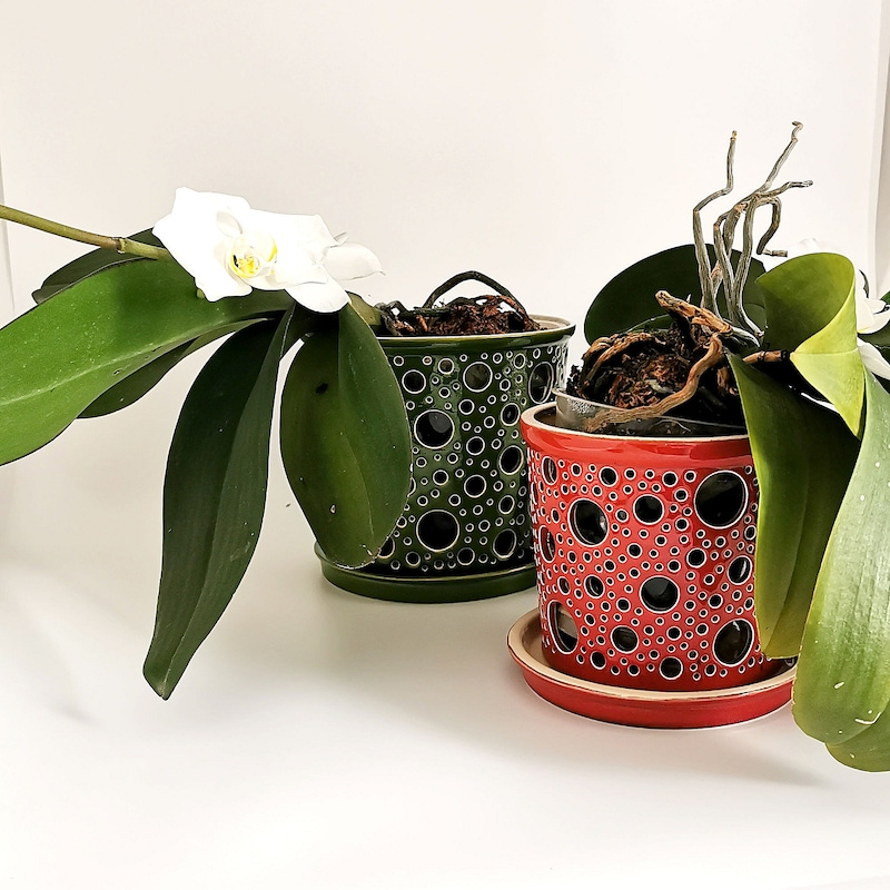 Orchid Pots - Etsy