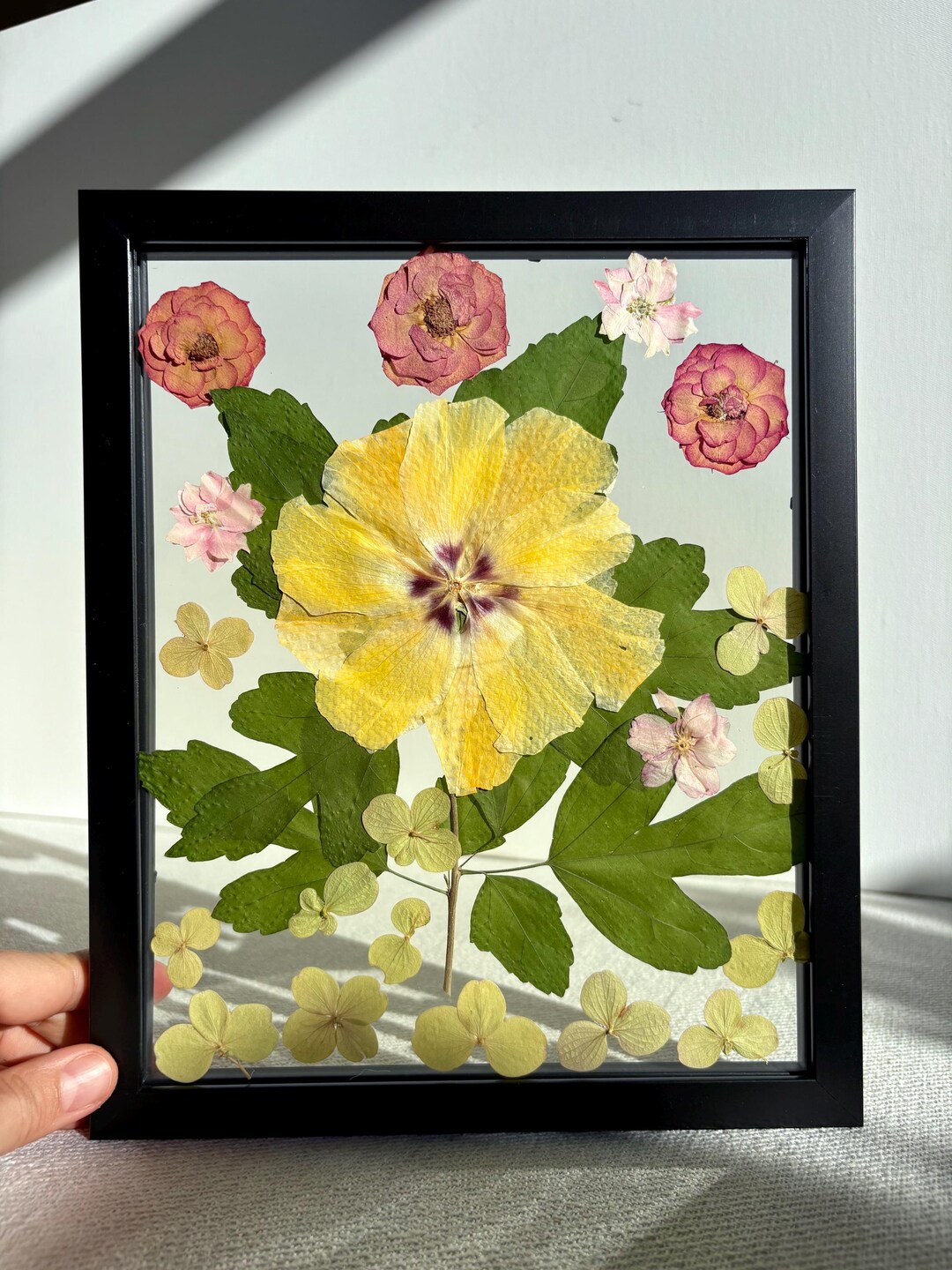 Yellow Hibiscus Pressed Flower Art in Floating Frame: Real Dried ...