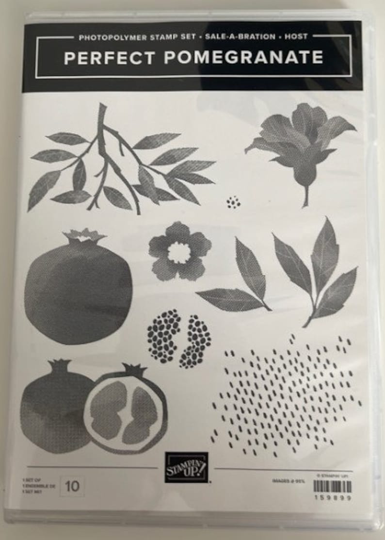 Stampin up Photopolymer Stamp Sets NEW Your Choice - Etsy