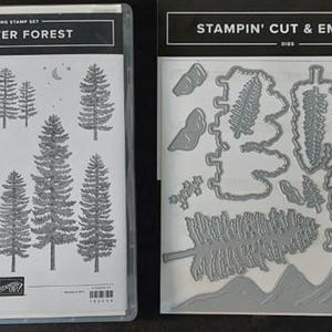 Stampin up Cling Stamp Sets and Dies NEW and USED Your Choice - Etsy
