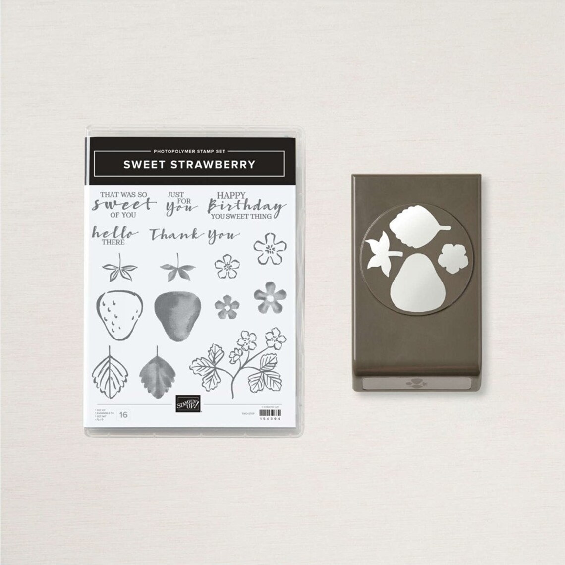 Stampin up Photopolymer Stamp Sets and Punch Bundles New Used - Etsy