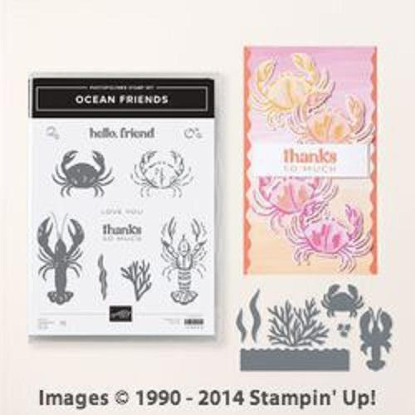 Stampin up Photopolymer Stamp Sets and Dies New and Gently Used Your ...