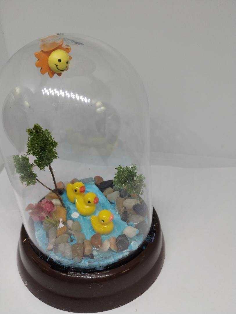 Mini Plastic Dome With Ducks - Etsy