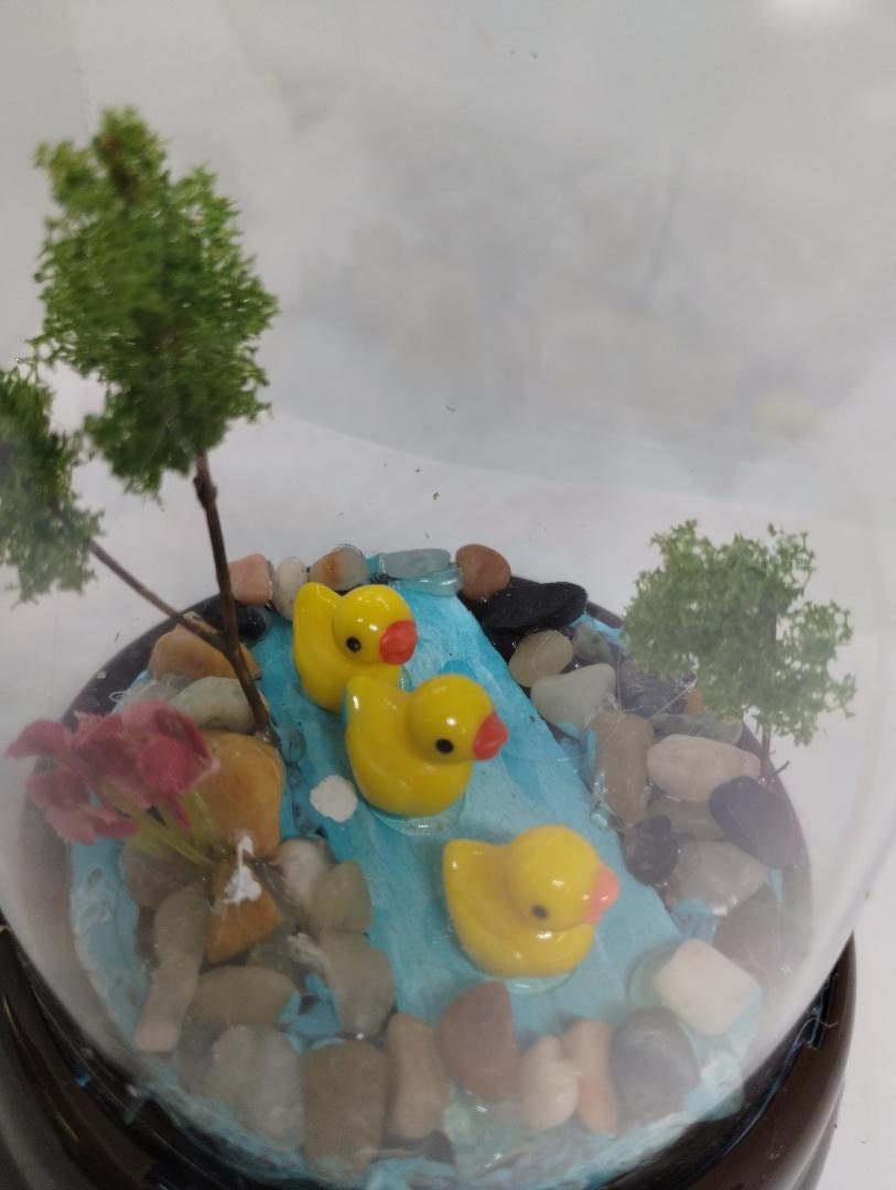 Mini Plastic Dome With Ducks - Etsy