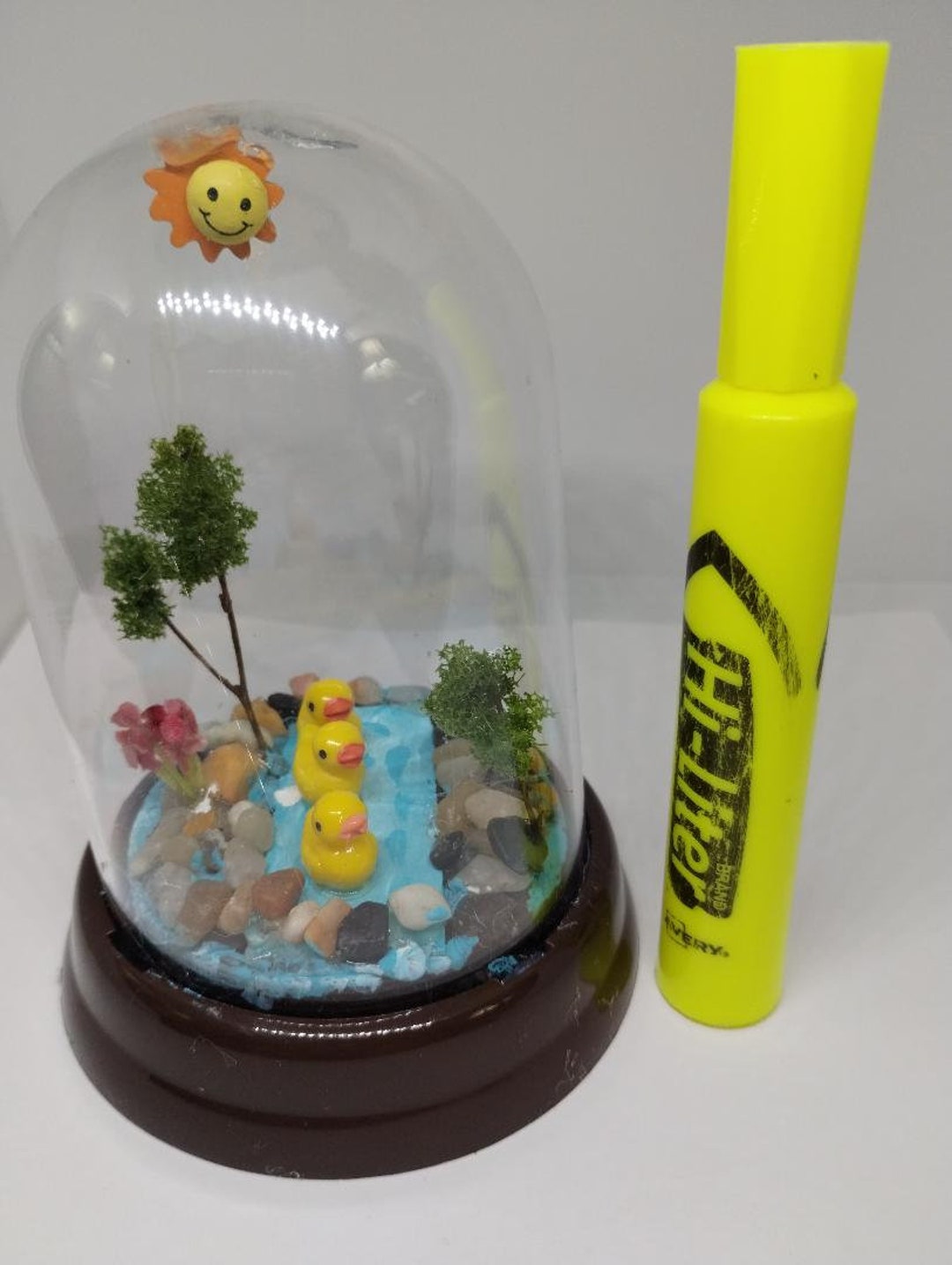 Mini Plastic Dome With Ducks - Etsy