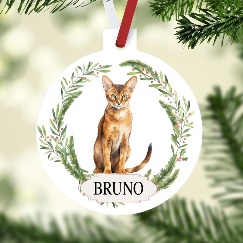Abyssinian Cat - Etsy