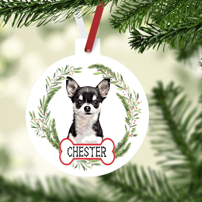 Chihuahua Gifts - 60+ Gift Ideas for 2024