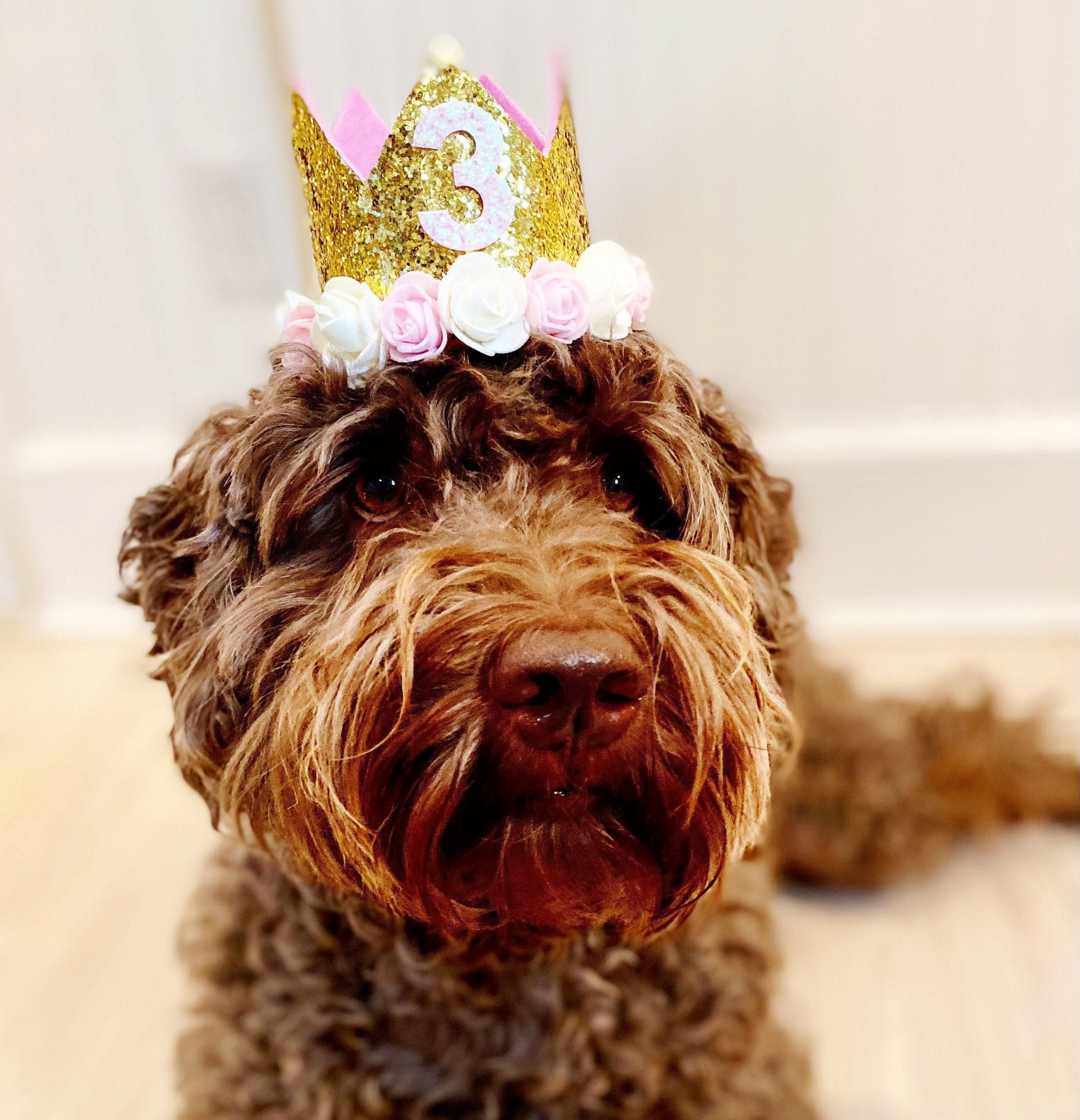 Dog Party Crown Dog Birthday Party Hat Party Crown Birthday | Etsy