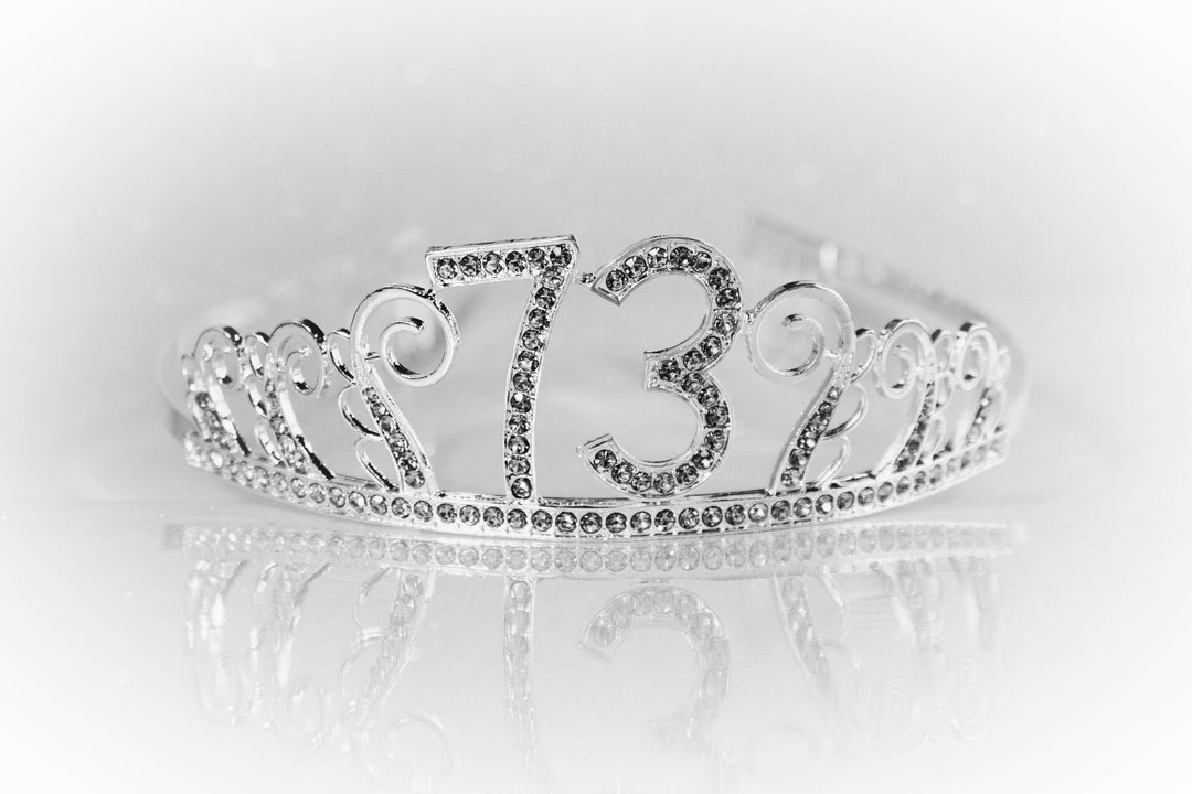 73rd Birthday Tiara, Birthday Headband, 73rd Birthday Party Tiara, 73 ...