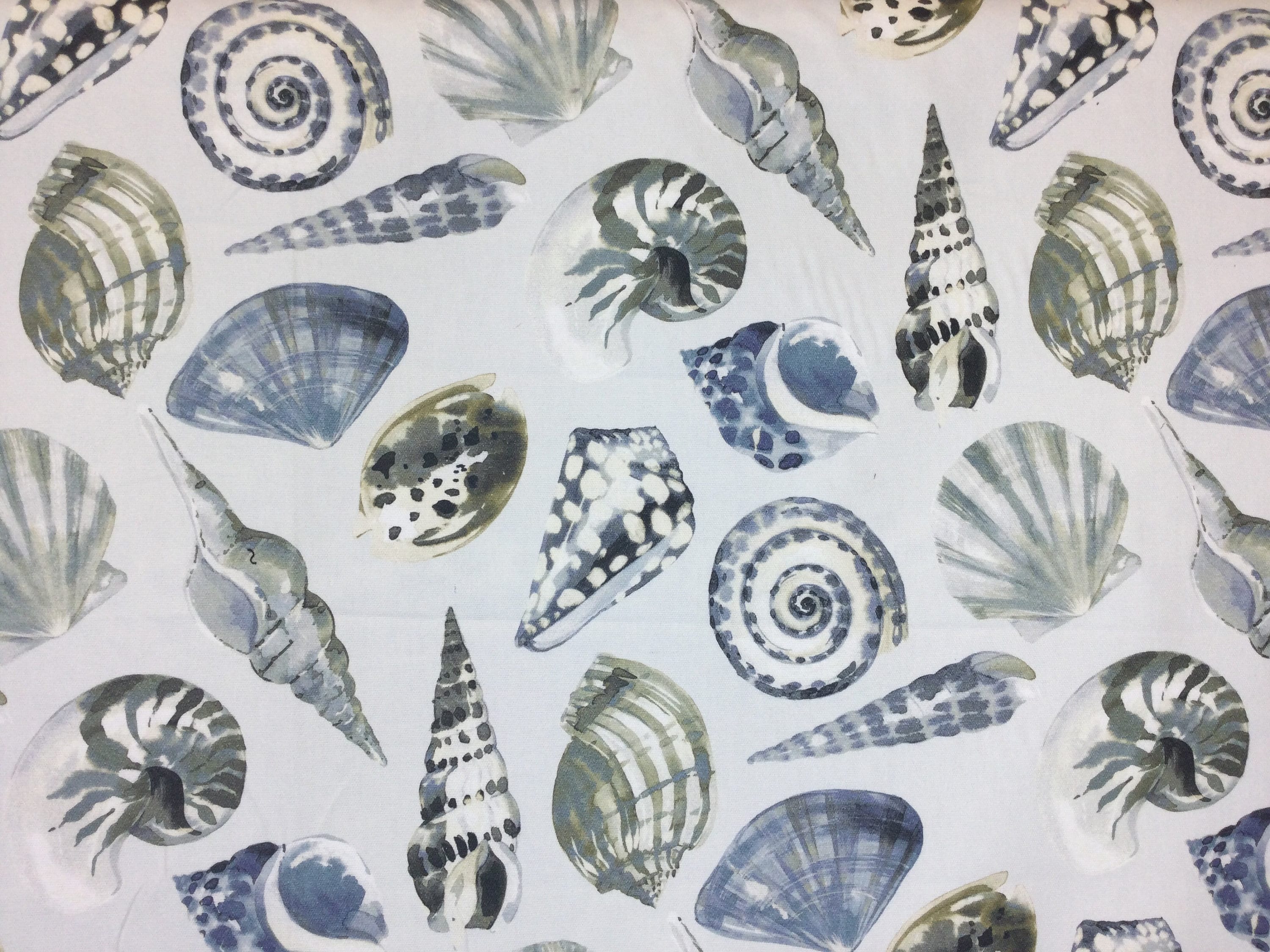 Aruba Delft - Persea- Coastal Fabric - Seashell Motif - Novelty Fabric ...