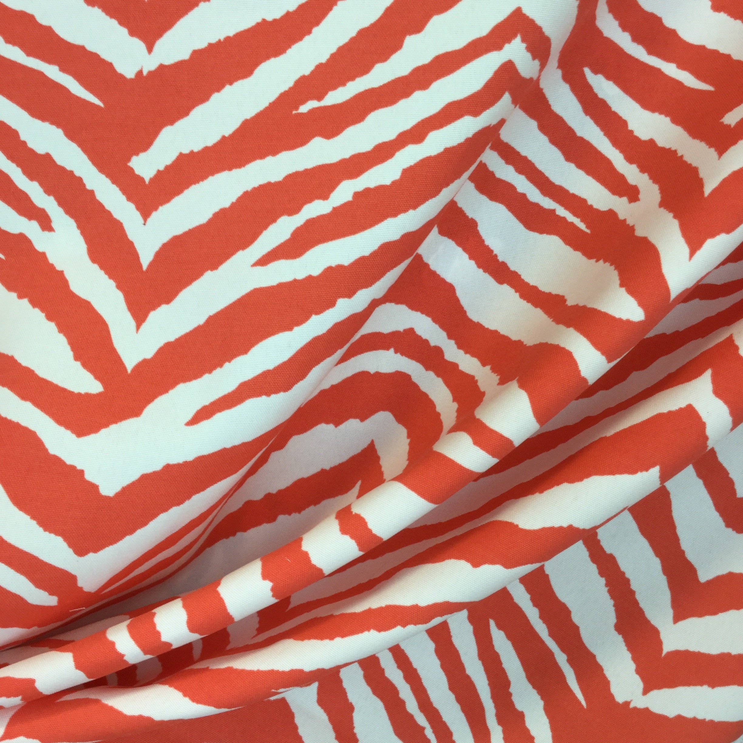 Orange And White Zebra Print