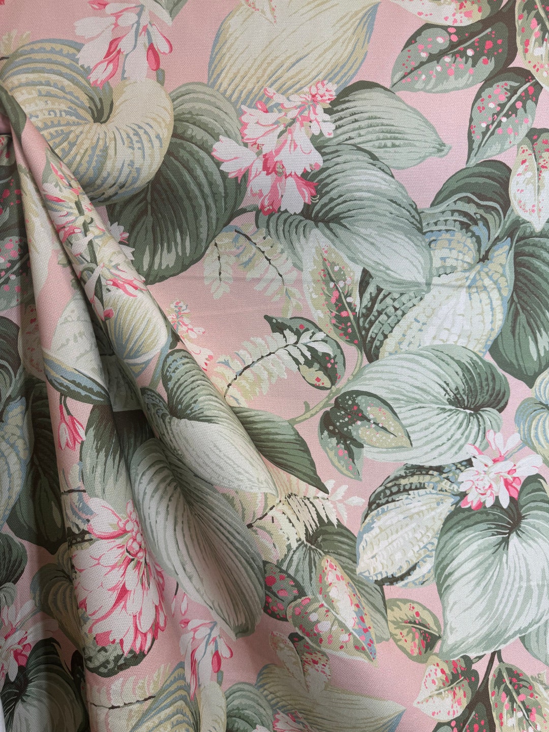 Hostas Meadow Tea Rose - Large Leaf - Elegance - Calming - Pastel Pink ...