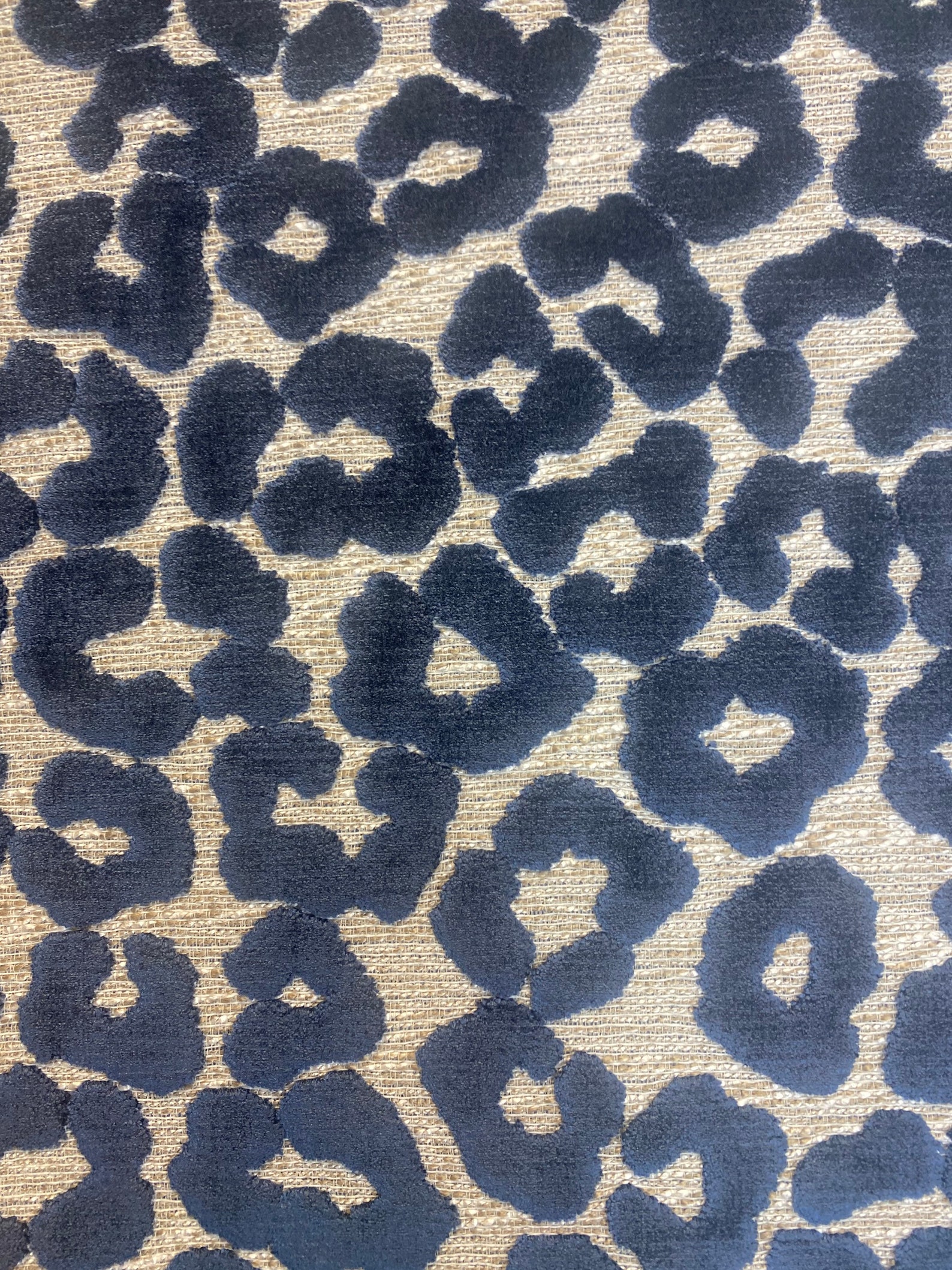 Cut Velvet Navy Leopard - Fat Cat - Velvet Animal Print - Navy Leopard ...