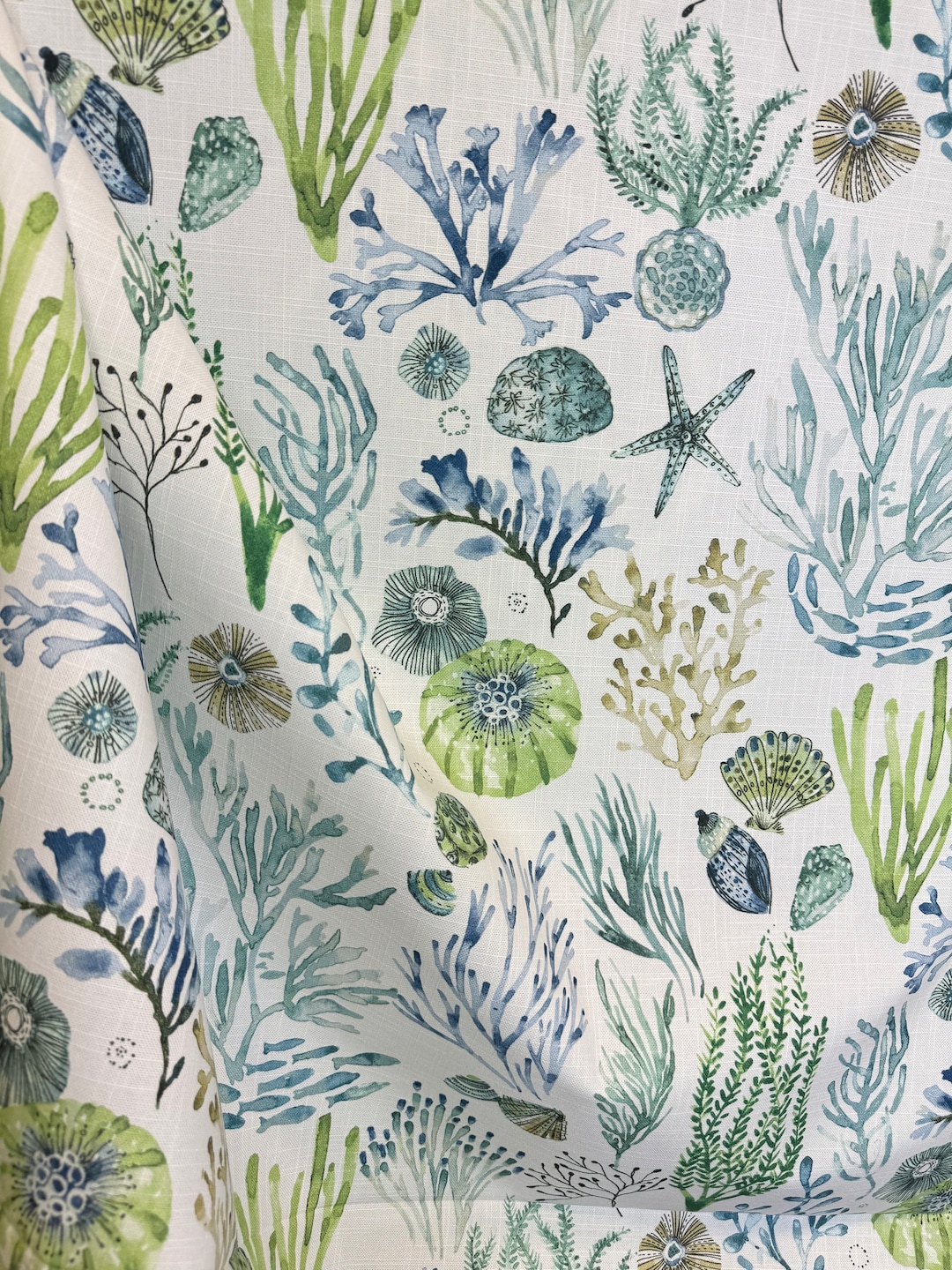 Montauk Seaweed - Ocean - Coastal - Tropical - Home Decor - Beach ...