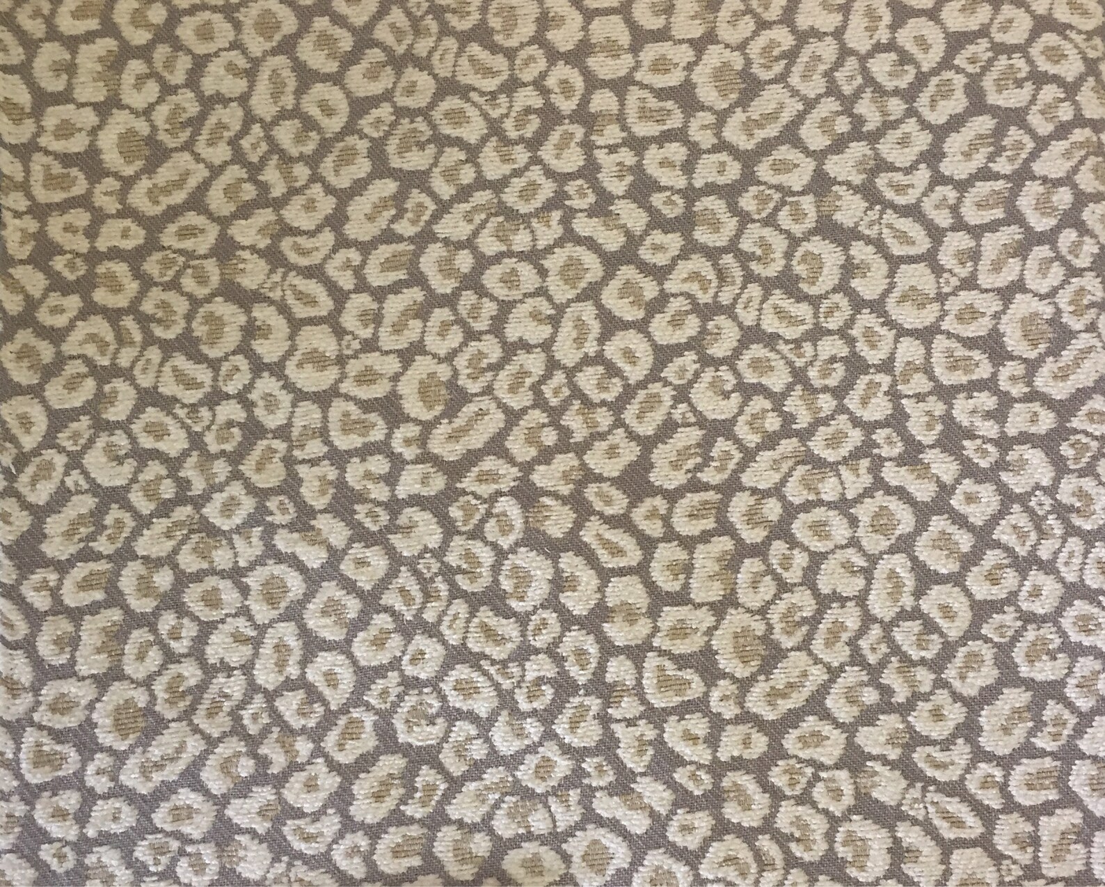 Gray and Cream Cheetah Spots Oyster Upholstery Fabric by - Etsy