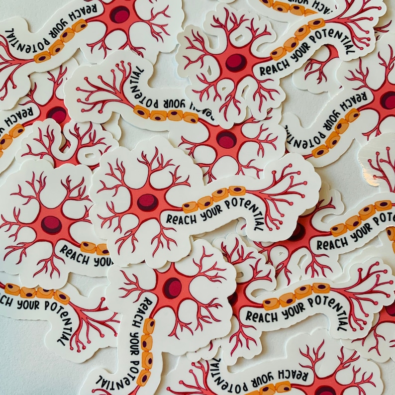 Neuron Potential Medical Sticker Science Sticker Medical - Etsy