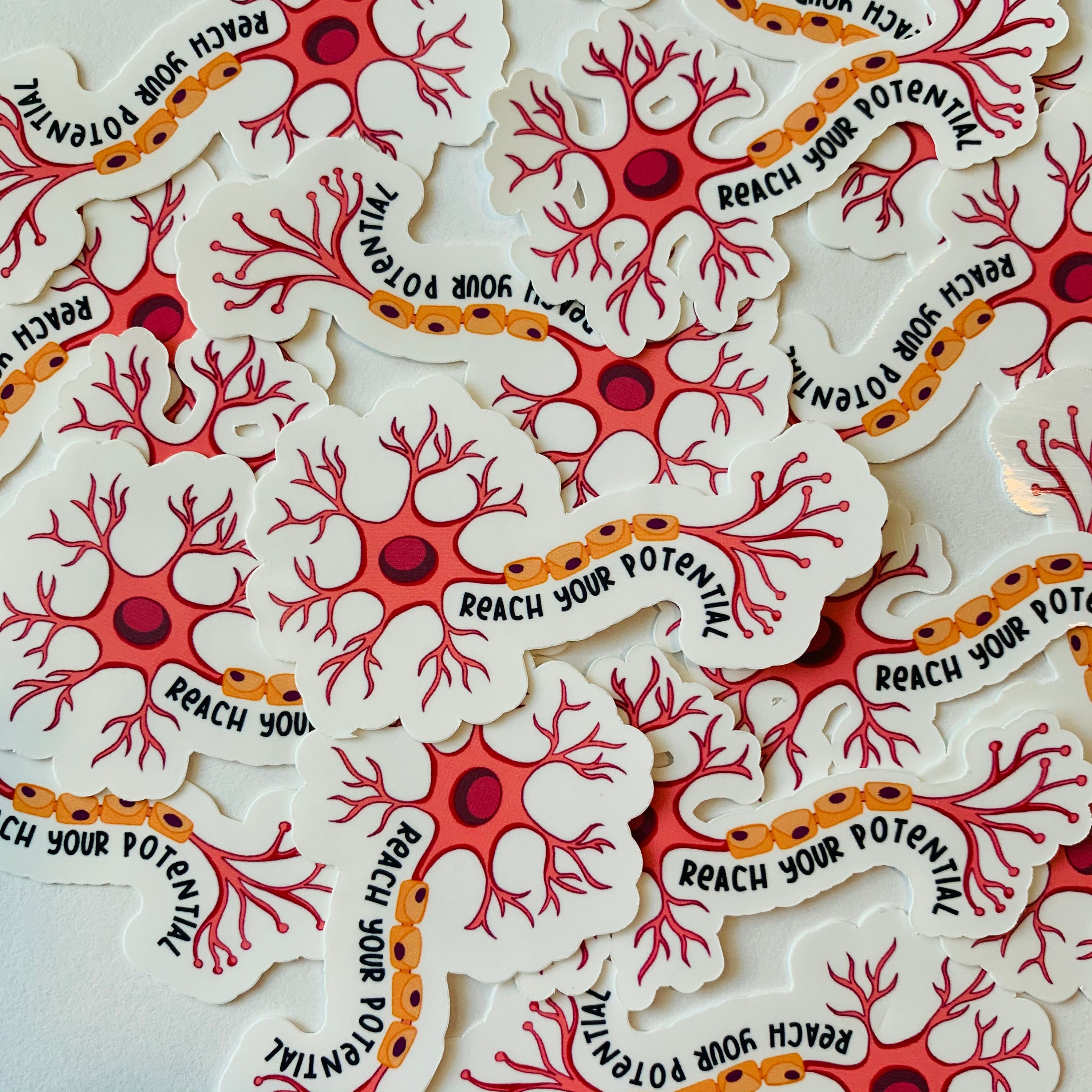Neuron Potential Medical Sticker Science Sticker Medical | Etsy