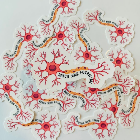 Neuron Potential Medical Sticker Science Sticker Medical - Etsy