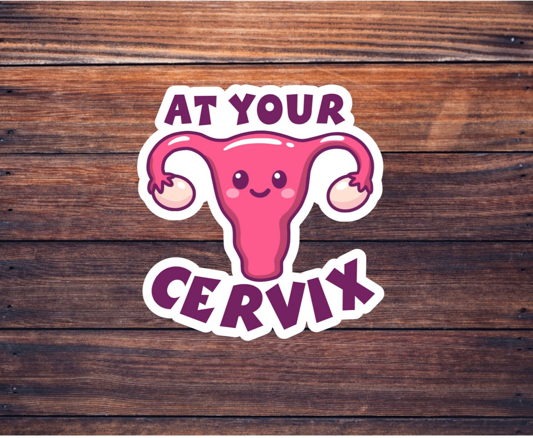 At Your Cervix Sticker Female Anatomy Sticker Medical Pun Sticker Labor
