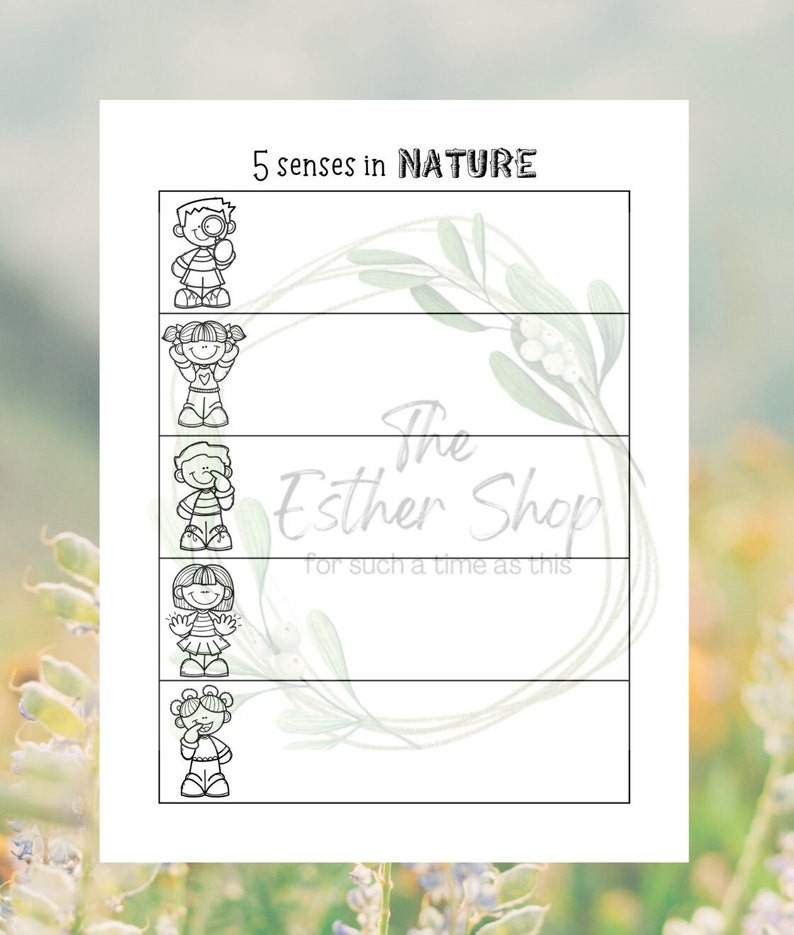 5 Senses in Nature Worksheet, Digital Download - Etsy
