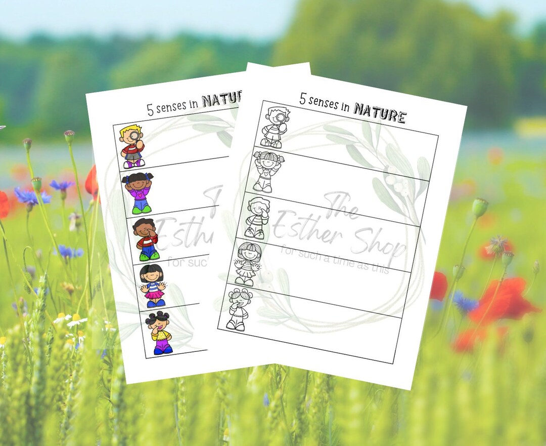 5 Senses in Nature Worksheet, Digital Download - Etsy