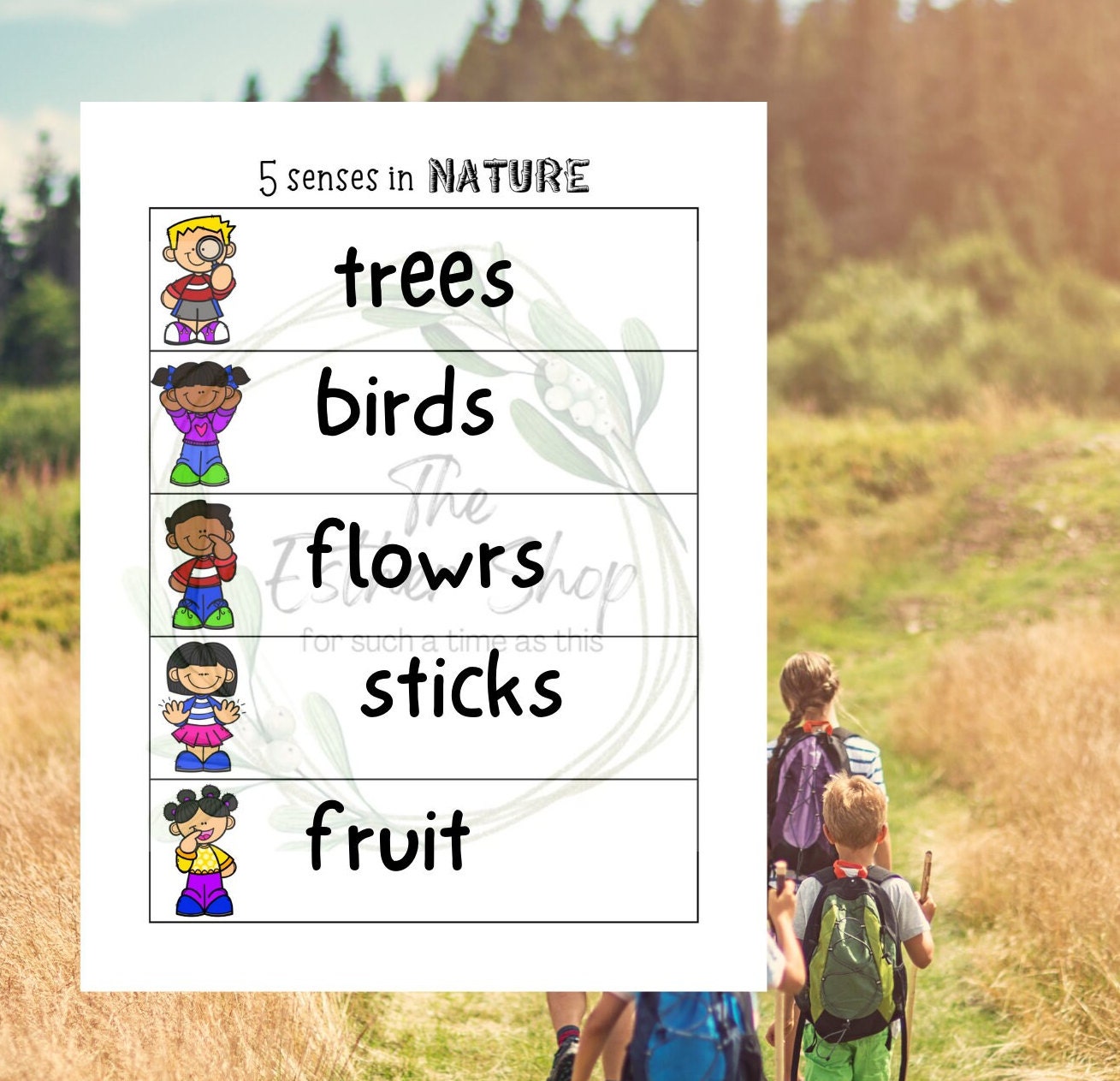 5 Senses in Nature Worksheet, Digital Download - Etsy