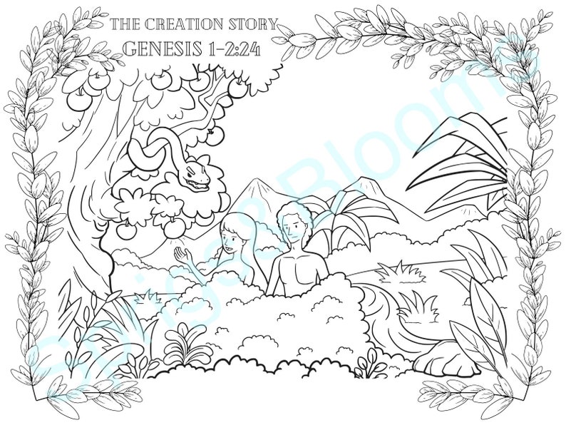 Bible Story: Color & Read - the Creation Story - Etsy