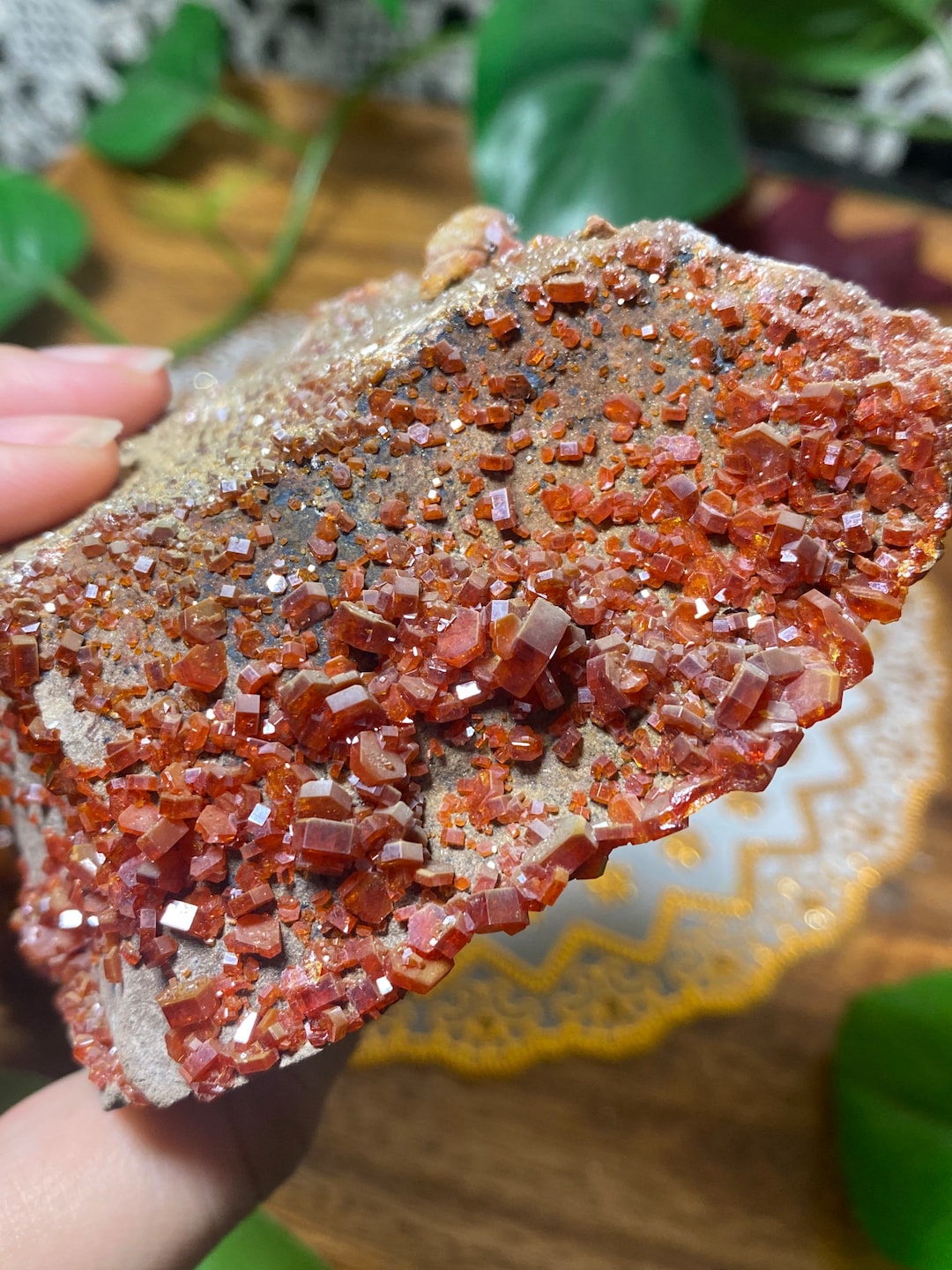 Moroccan Vanadinite Specimen: Dendritic Healing Crystals - Etsy