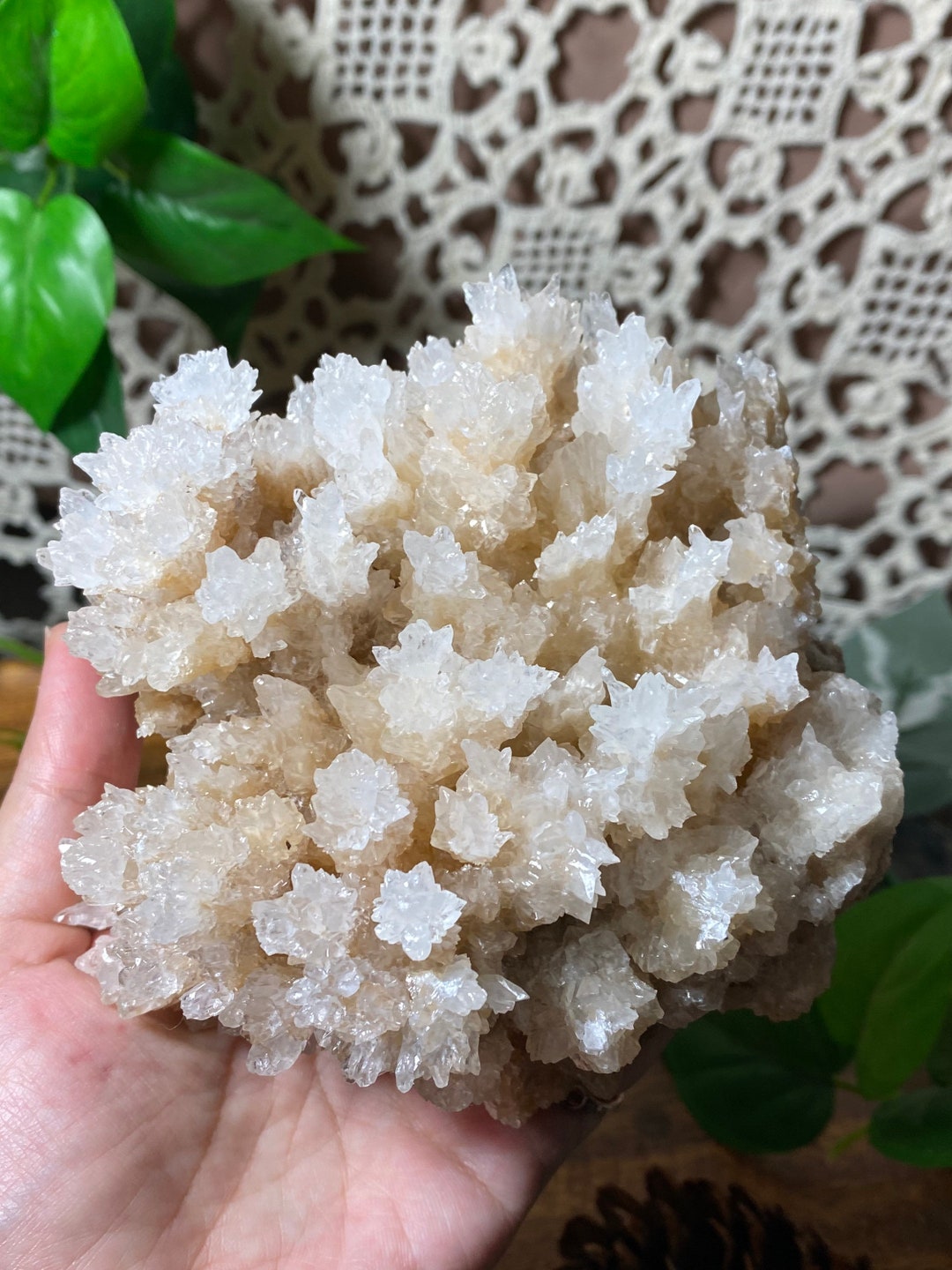 White Cave Aragonite Specimen From Morocco UV Reactive - Floss Ferri Formation- Healing Crystals ...
